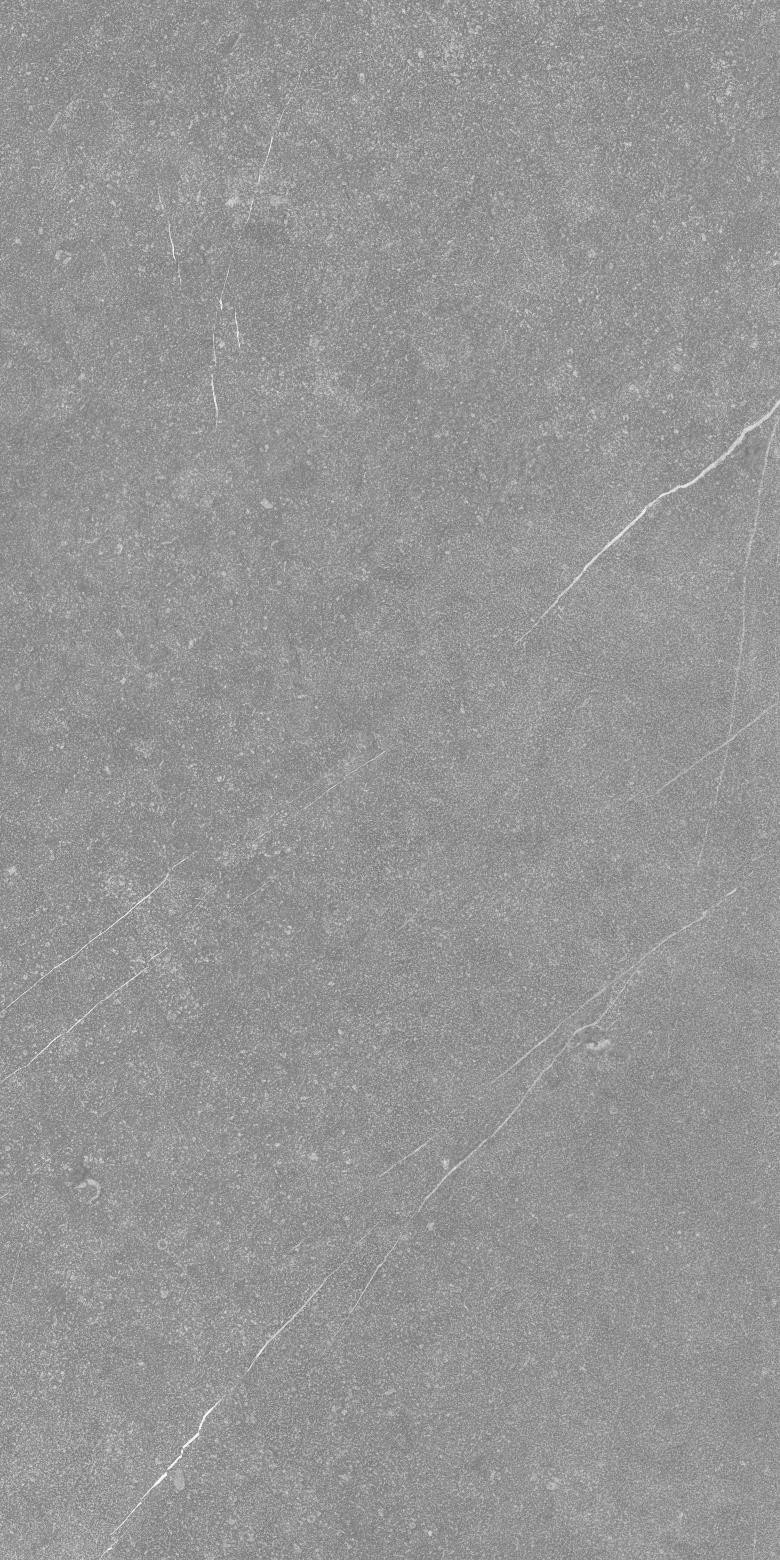 Trending Large Indoor Porcelain Tiles Format Cement Grey Concrete Look ...
