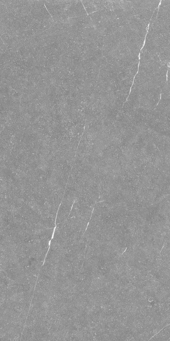 Trending Large Indoor Porcelain Tiles Format Cement Grey Concrete Look ...
