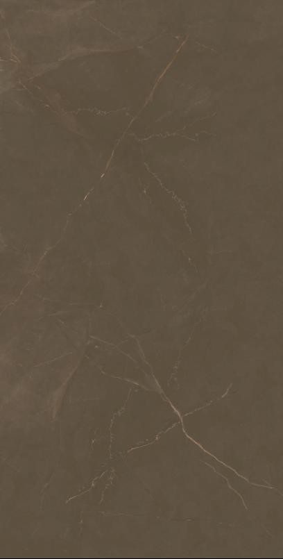 Dack Brown Ceramic 1200x2400mm Anti Slip Porcelain Tile